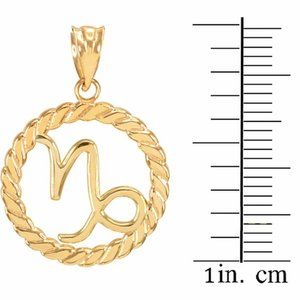 Element Shine | Jewelry | 4k Real Solid Gold Capricorn Zodiac Sign ...